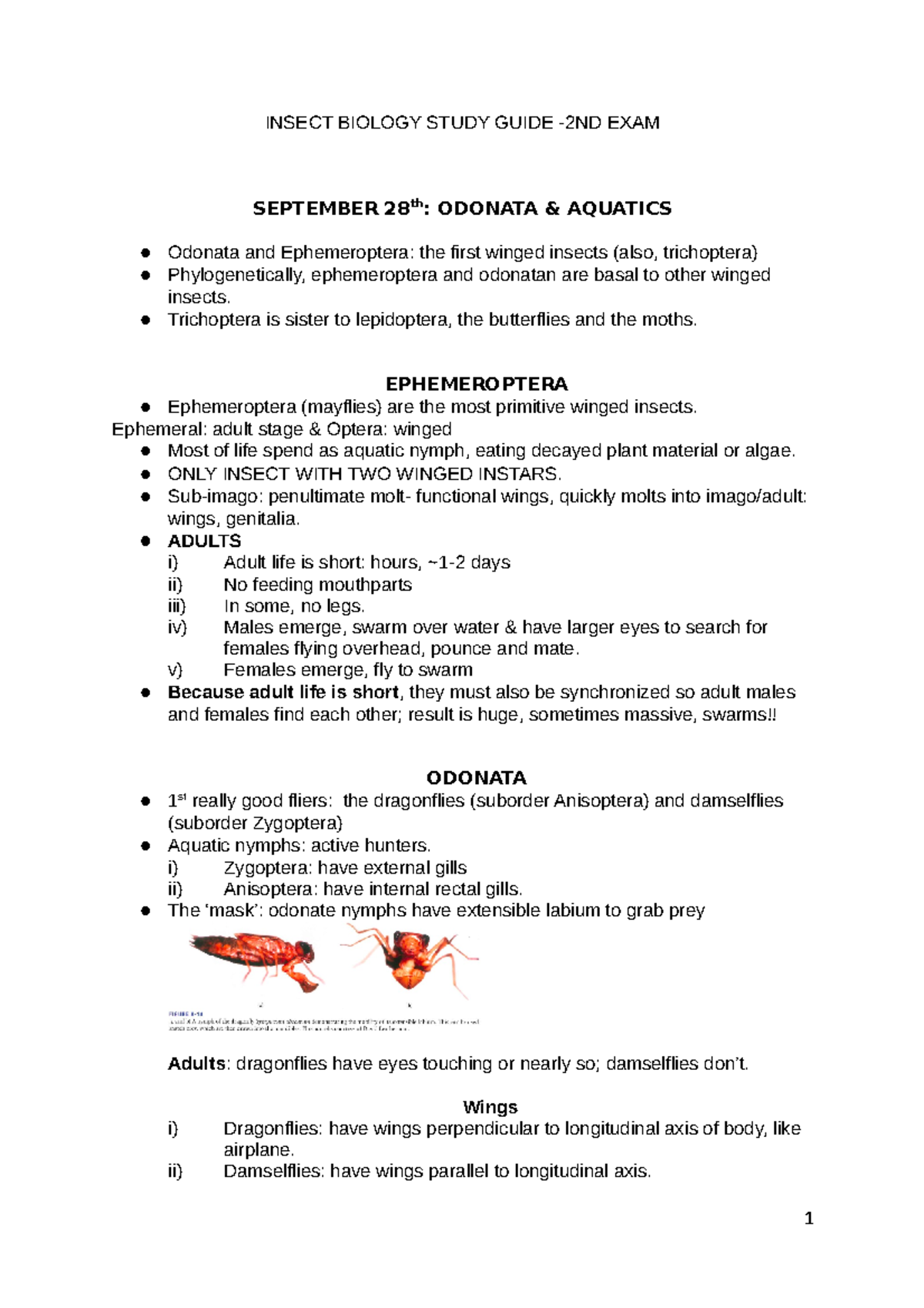 2nd exam study guide - with professor smith - INSECT BIOLOGY STUDY ...