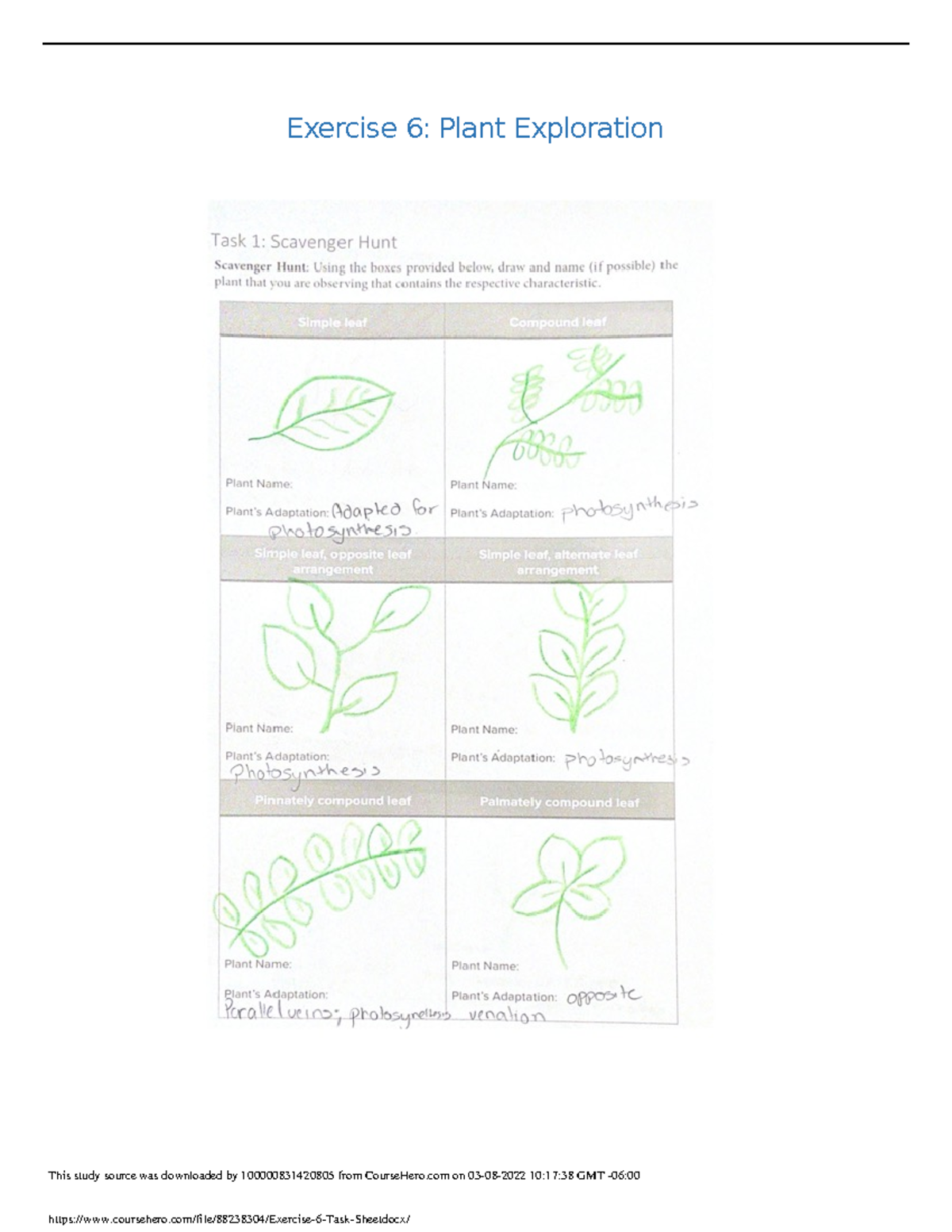 Exercise 6 Task Sheet.docx - Exercise 6: Plant Exploration This study ...