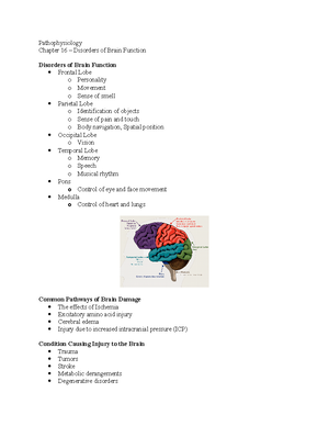 DERM Study Guide - Dermatology Pathophysiology - DERMATOLOGY STUDY ...