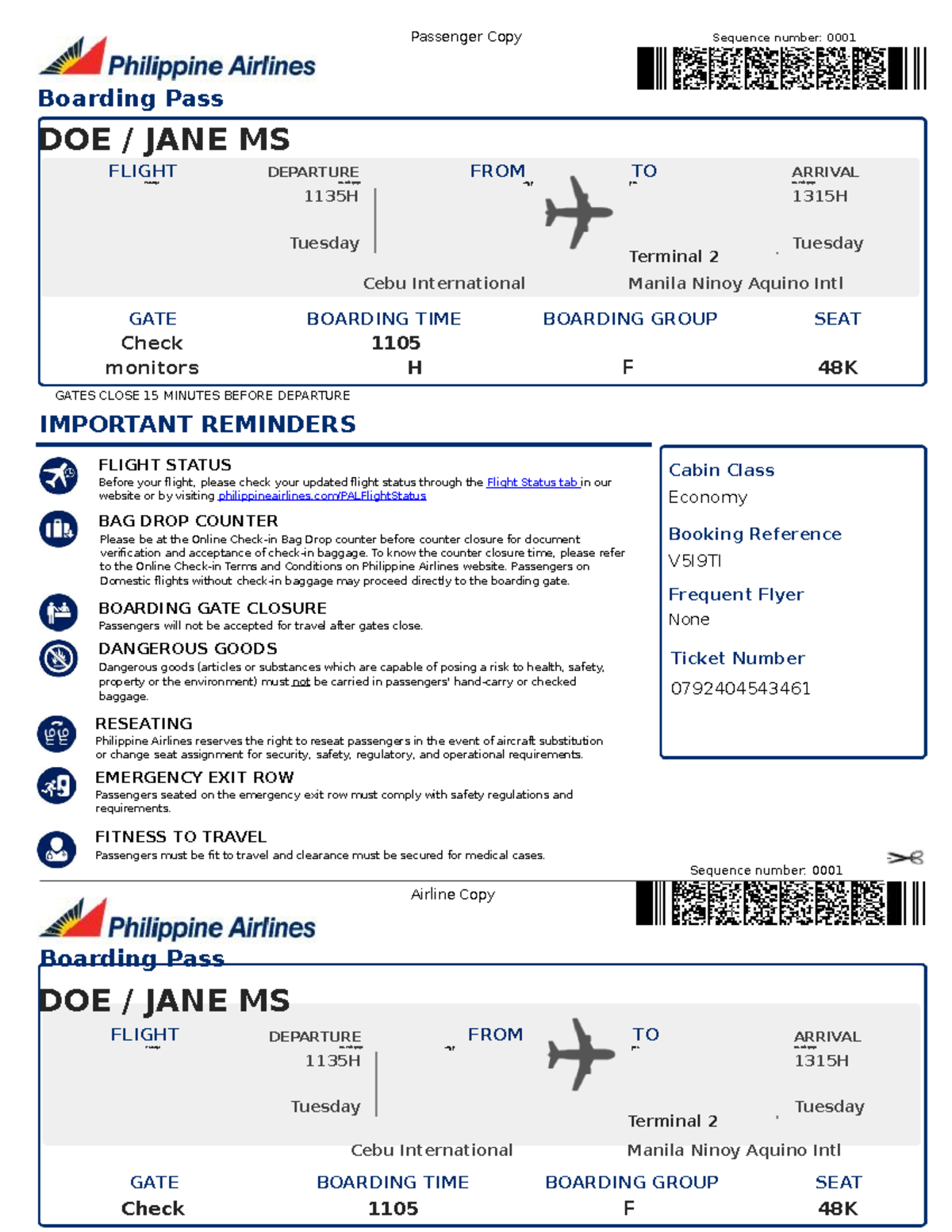 Plane Ticket Template 07 Passenger Copy Sequence Number 0001