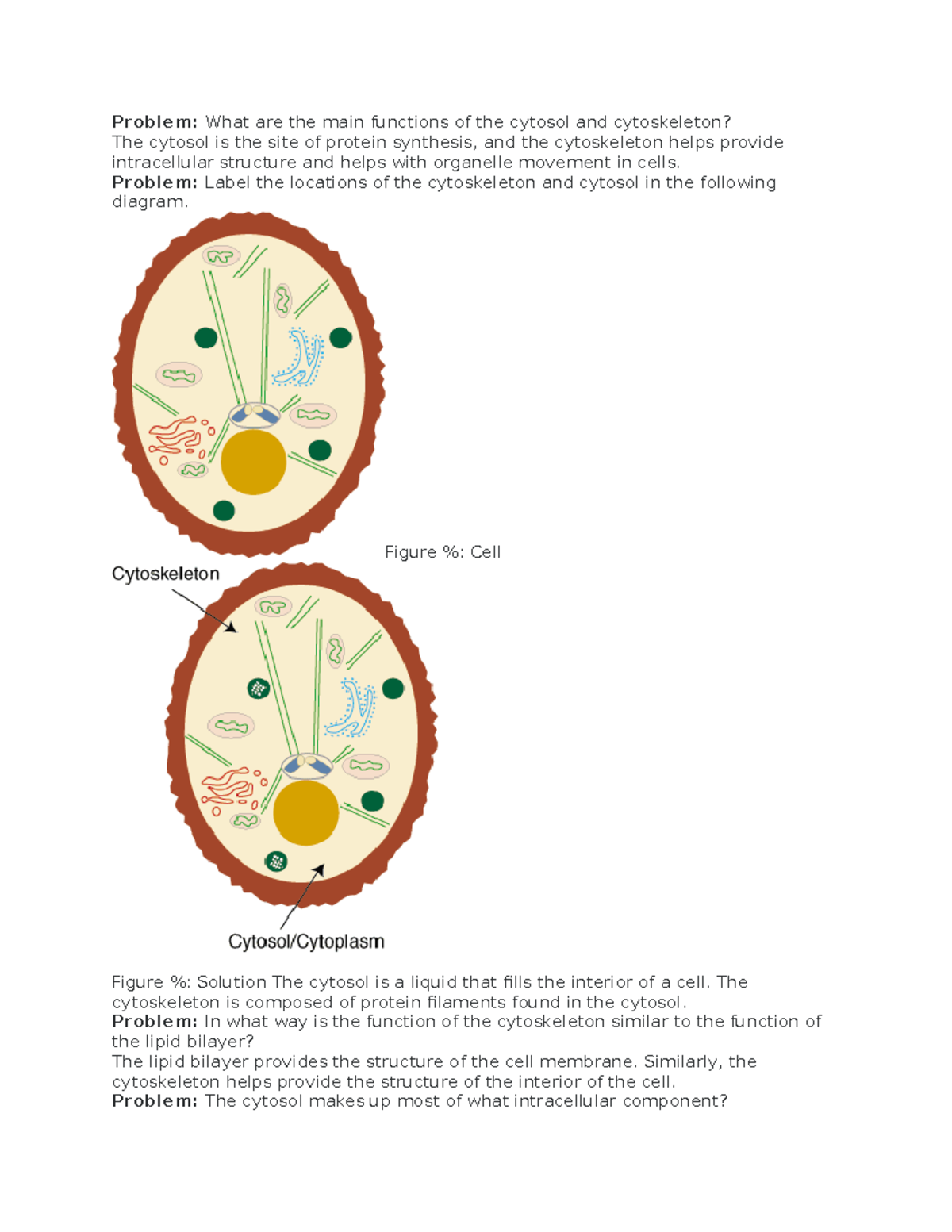 Bio Stud up2 - book notes/ summaries - Problem: What are the main ...