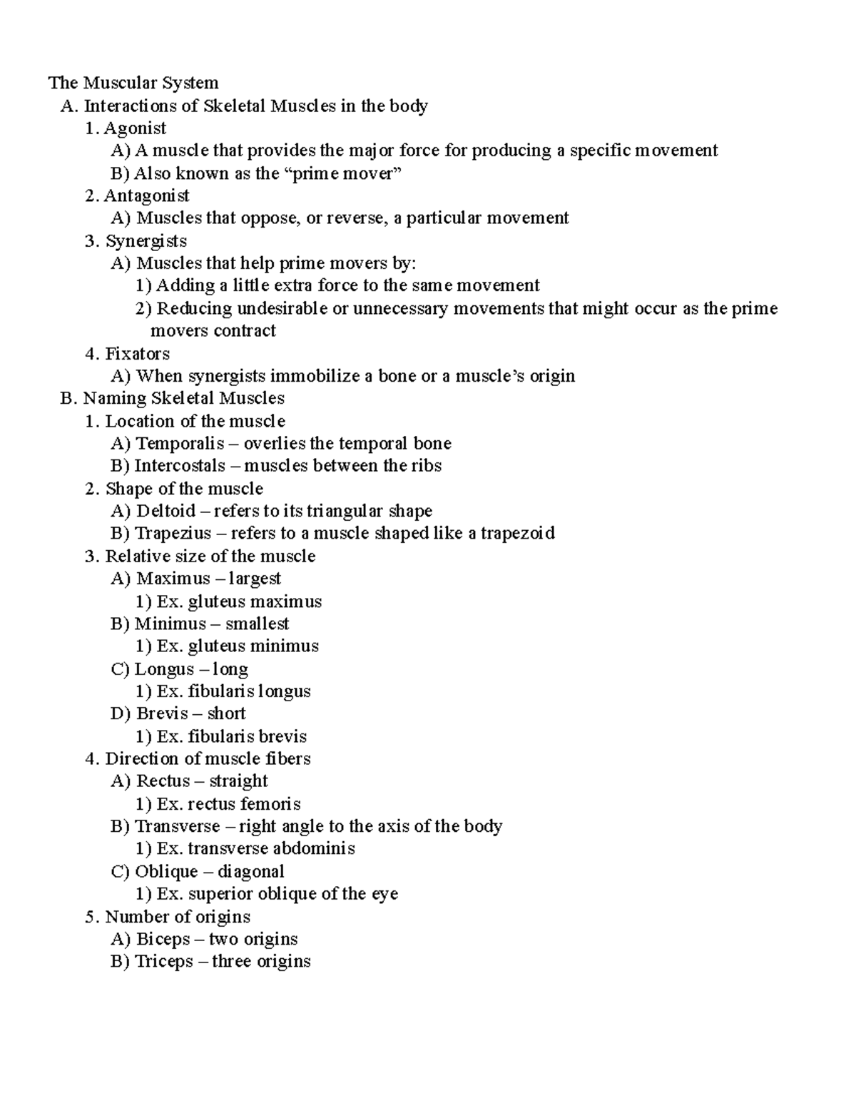 Anatomy and Physiology Notes Pt 6 - The Muscular System A. Interactions ...