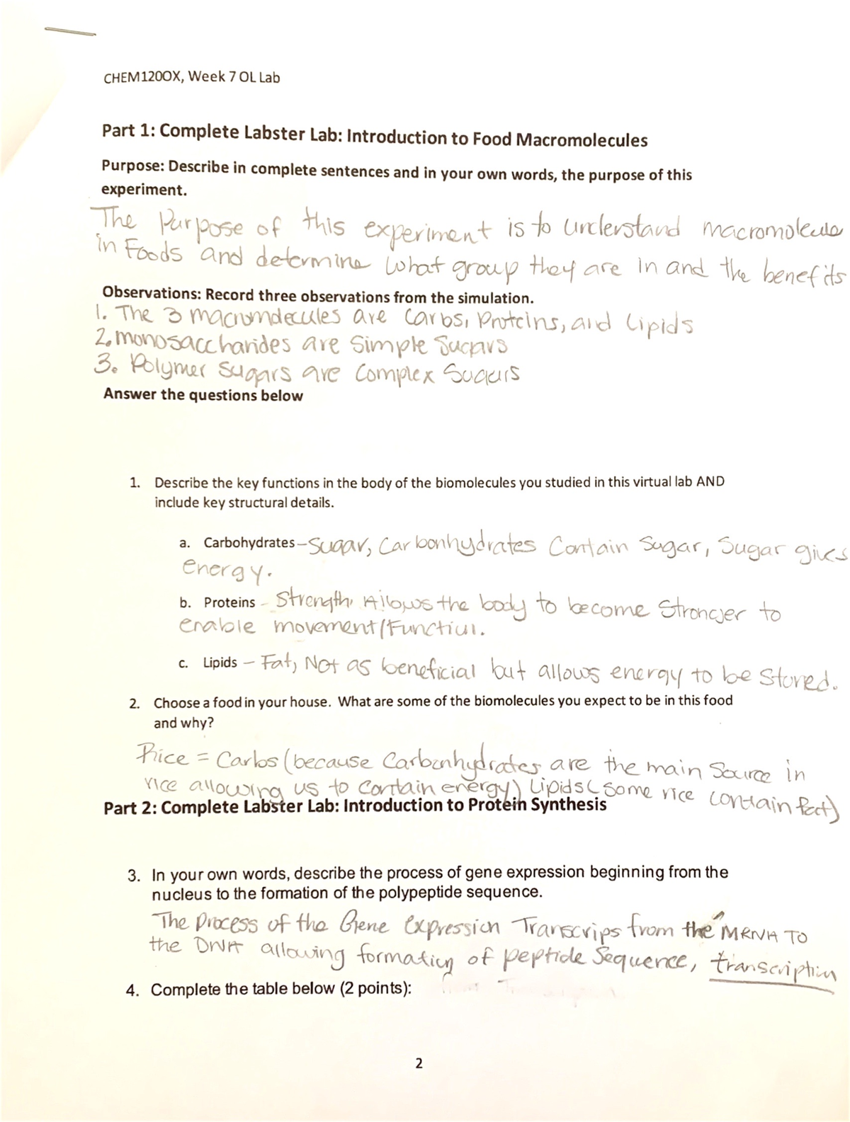 W7lb - material to help study - BIOS-251 - Studocu