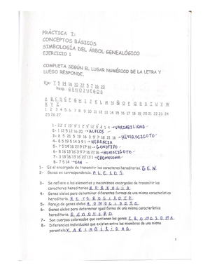 Preformismo y epigenesis en la historia de la embriologia ...