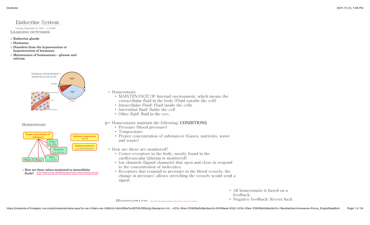 Endocrine Sytem - Anatomy and Physiology - - Studocu