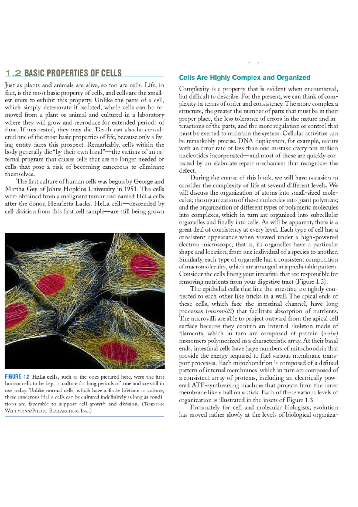 Basic properties of cell - Cell Biology - Studocu