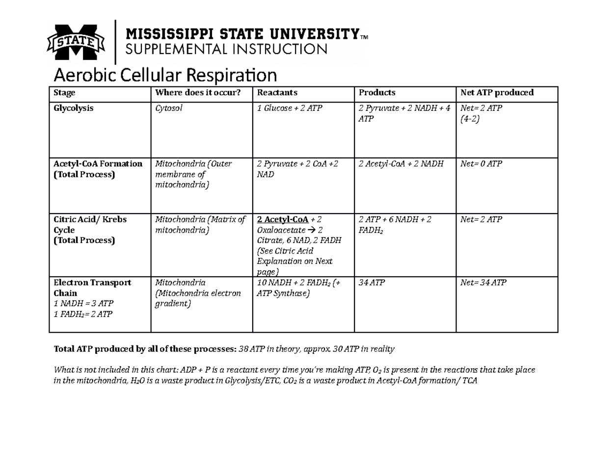 SI3-1Aerobic Respiration Matrices KEYMore Detailsand Notes - Aerobic ...