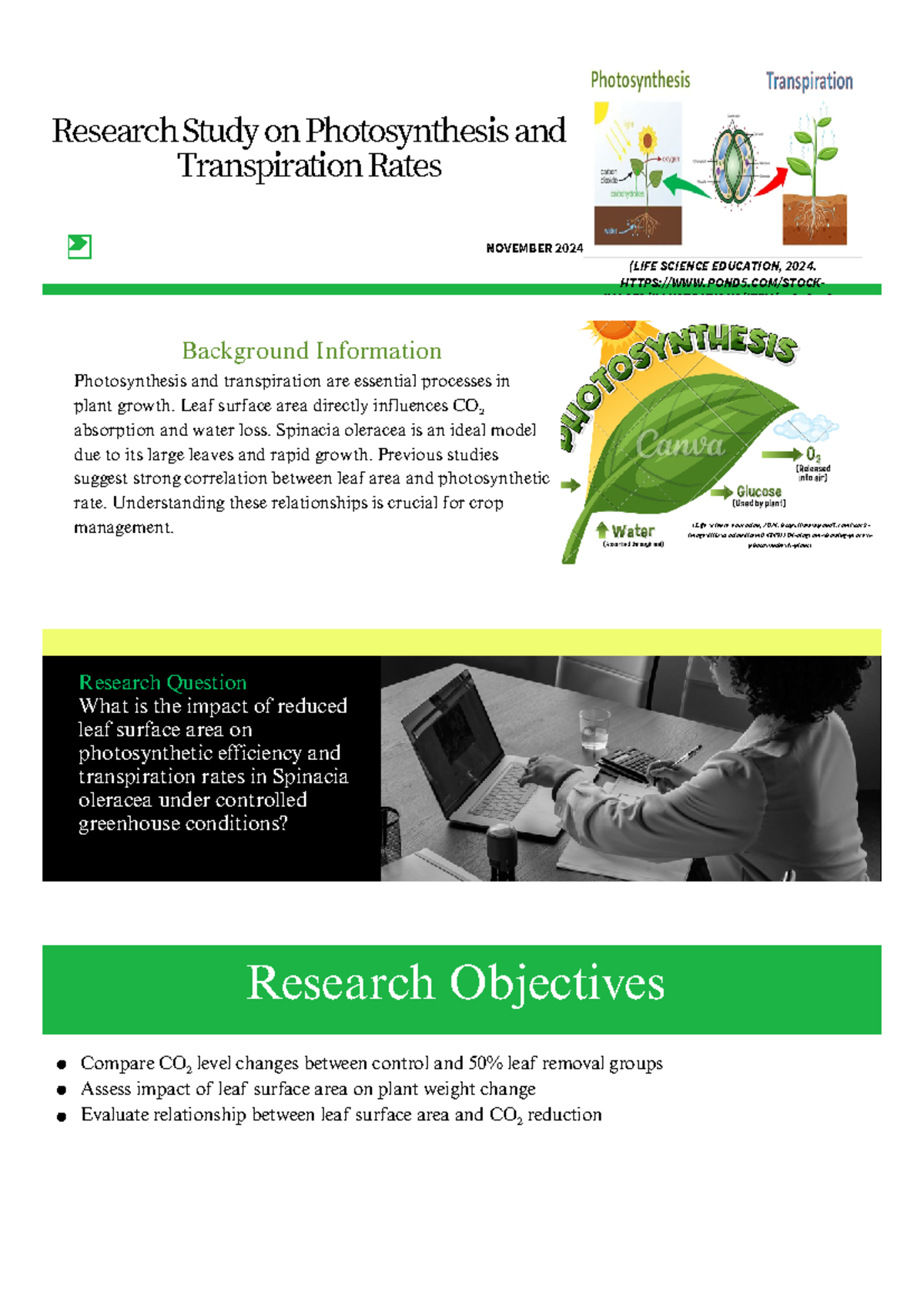 Infographic Assignment revised - NOVEMBER 2024 ####### Research Study ...