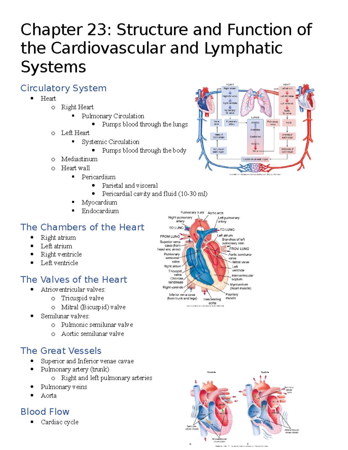 Chapter 23 Notes - Structure and Function of the Cardiovascular and ...