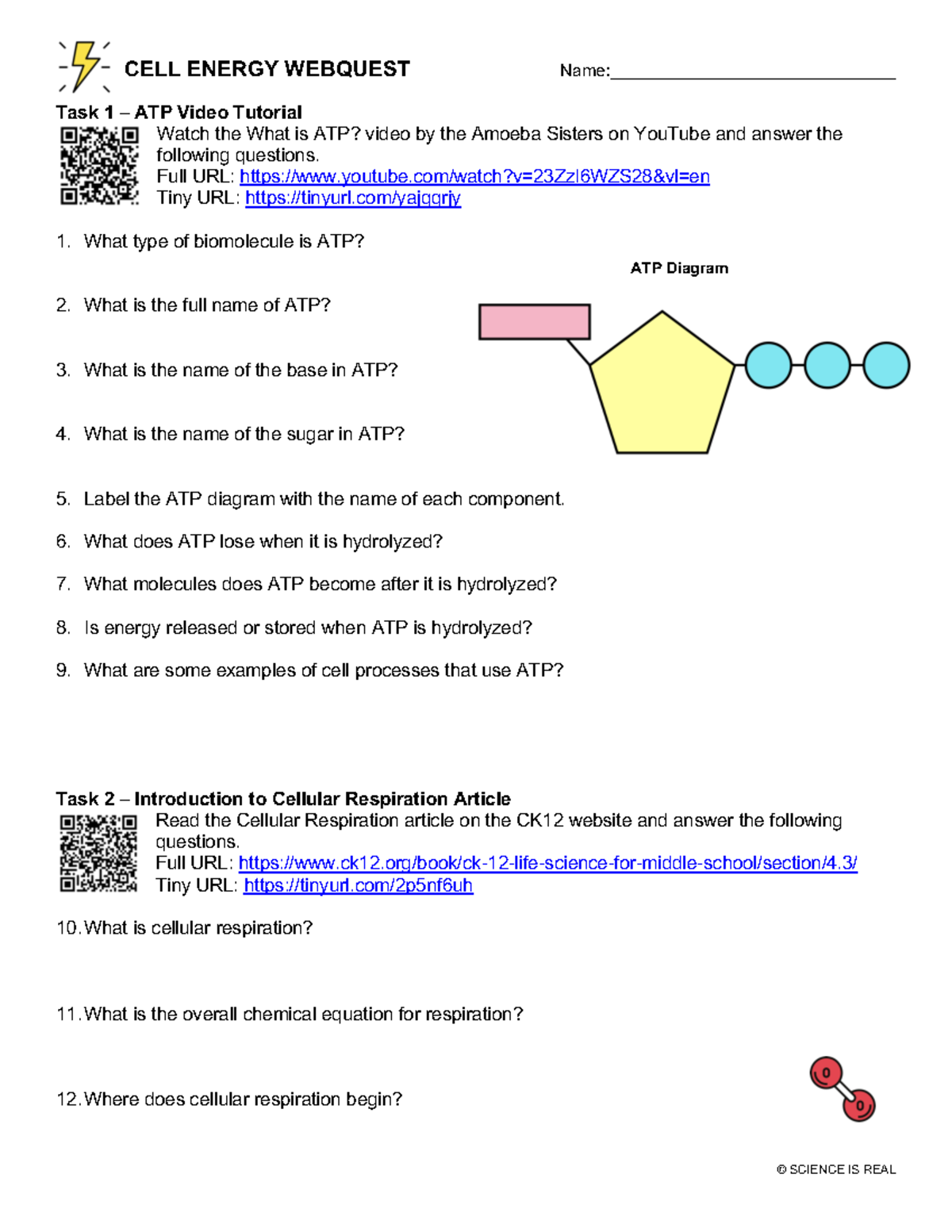 Handout for Cell Energy Webquest - CELL ENERGY WEBQUEST Name: Task 1 ...