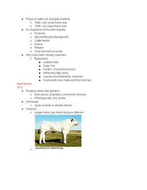 ASCI-221 31-40 - Lecture notes for Intro to Beef Production ASCI 221 ...