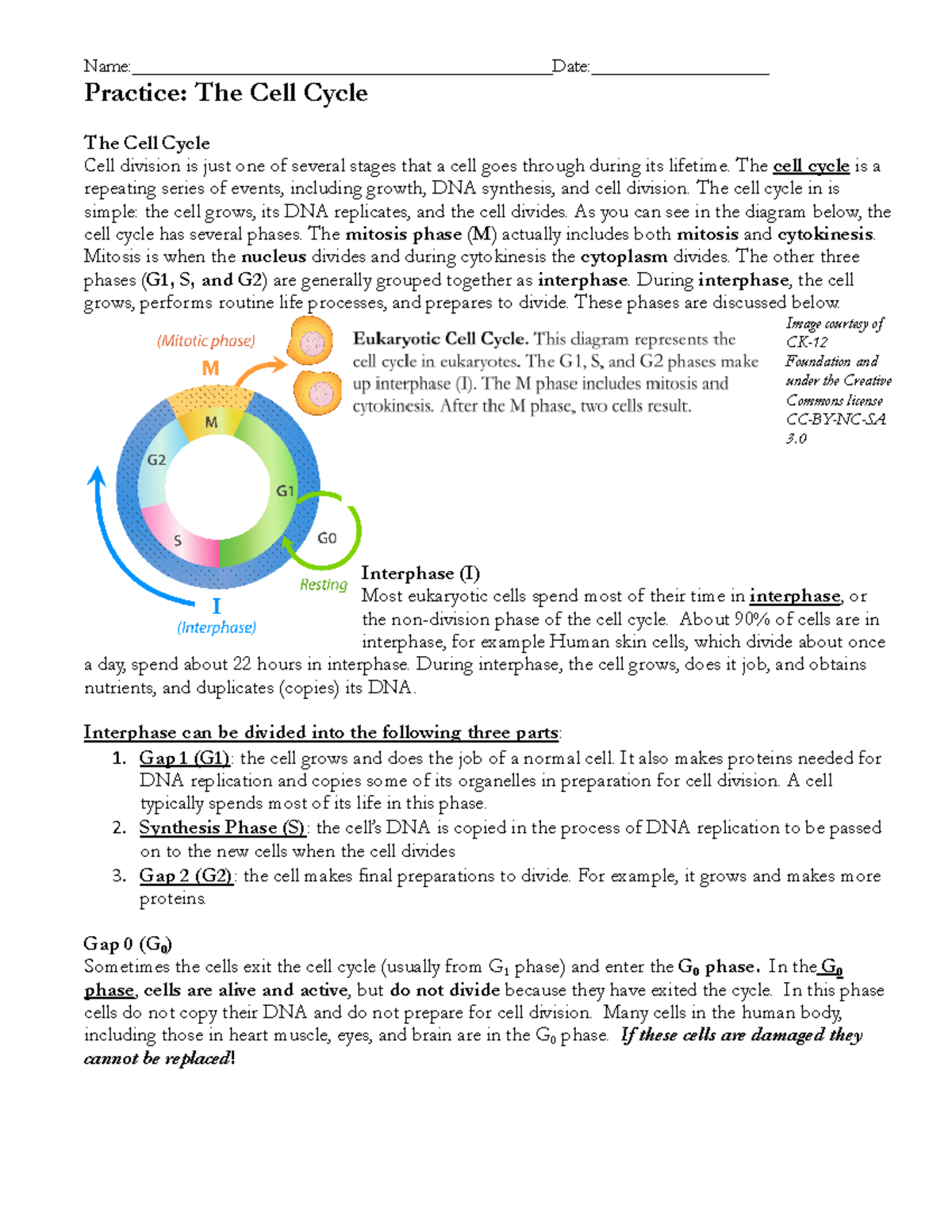 Human phys - !!! - Name:__________________________Date: Practice: The ...