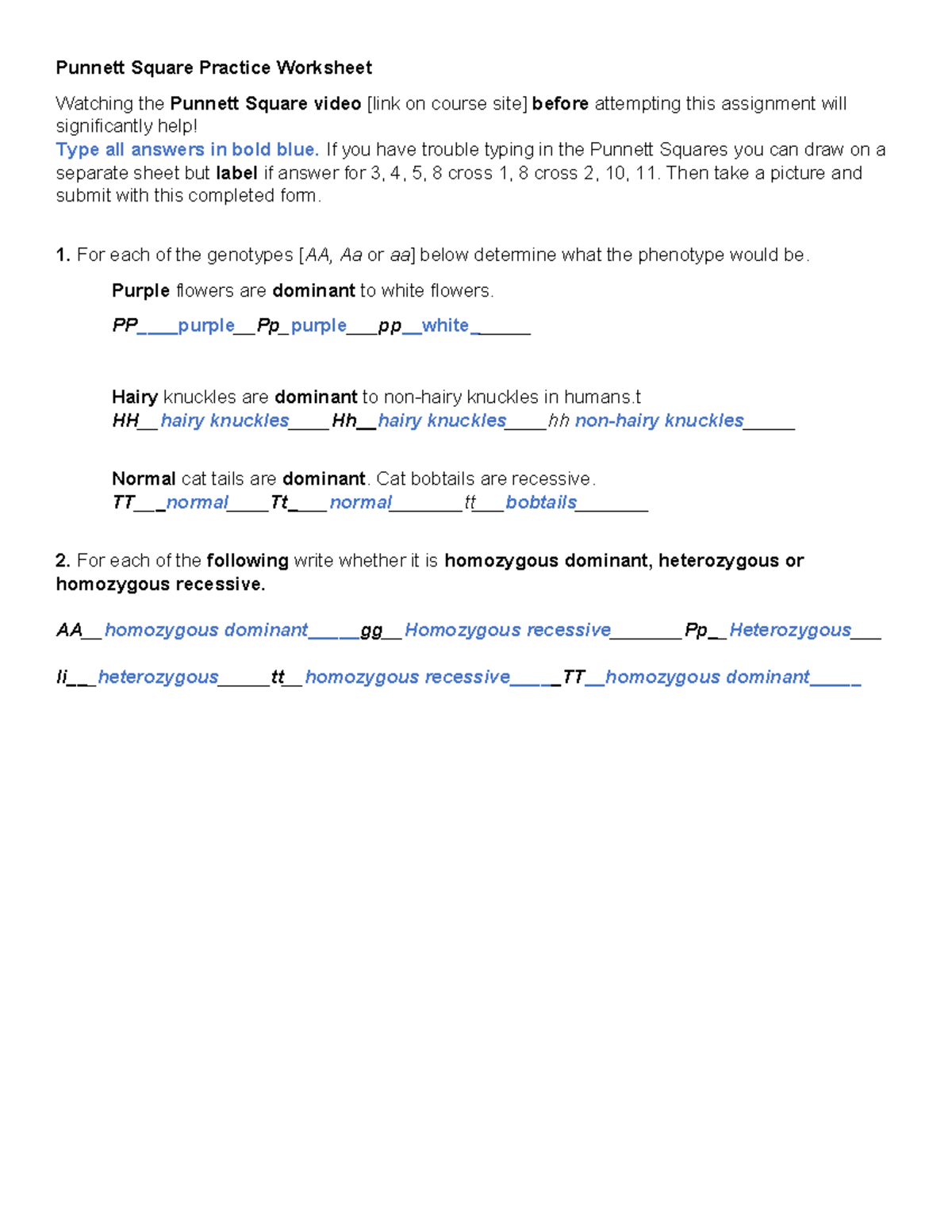 Punnett Square Practice Worksheet 87 - Punnett Square Practice ...