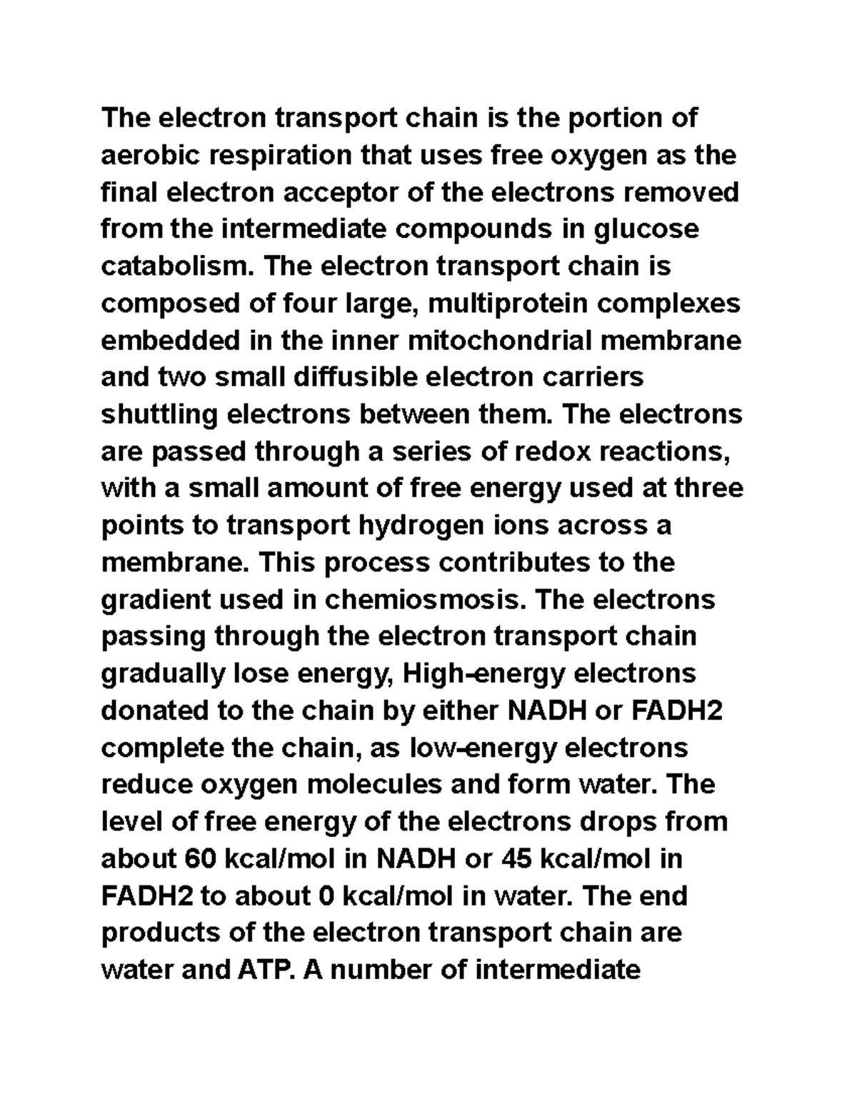 BIOL 1345 Module 6 Cellular Respiration - The electron transport chain ...