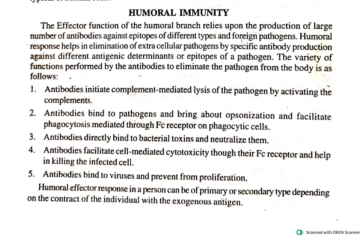 Humoral immunity- Primary response, Secondary response - Bsc zoology ...