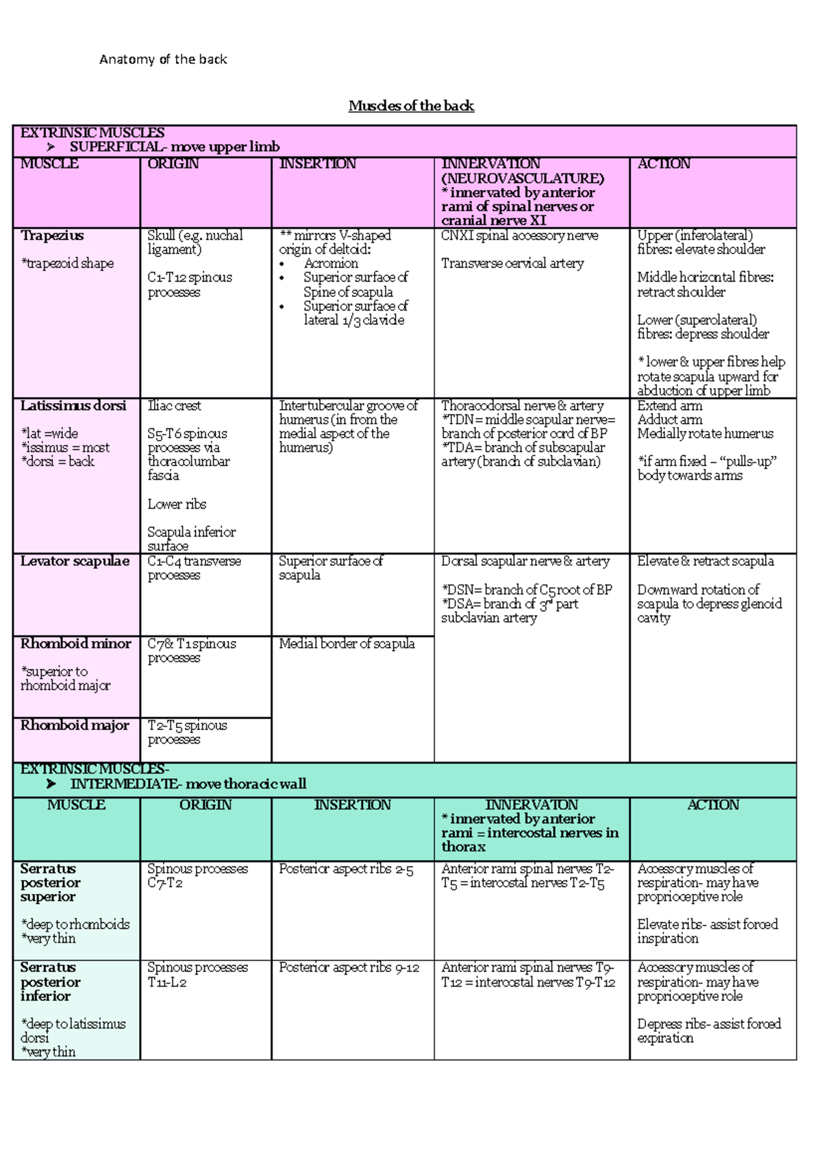 Muscles of the back - Anatomy of the back Muscles of the back EXTRINSIC ...