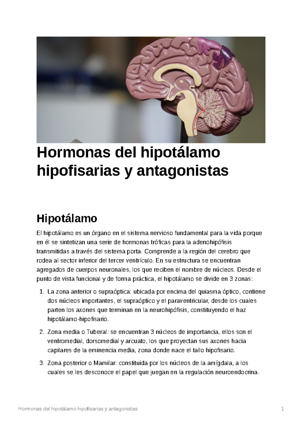 Hormonas del hipotlamo hipofisarias y antagonistas - Hormonas del ...