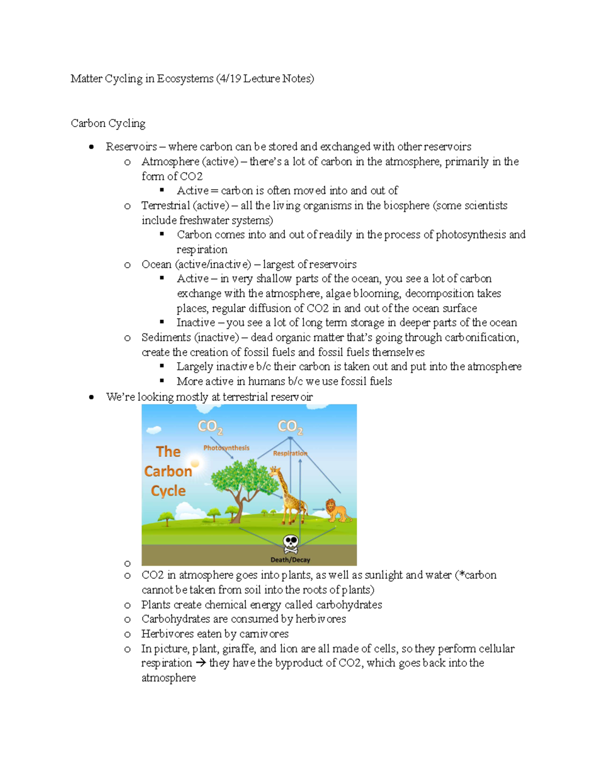 BIOL 114 - Matter Cycling Notes - Matter Cycling in Ecosystems (4/19 ...
