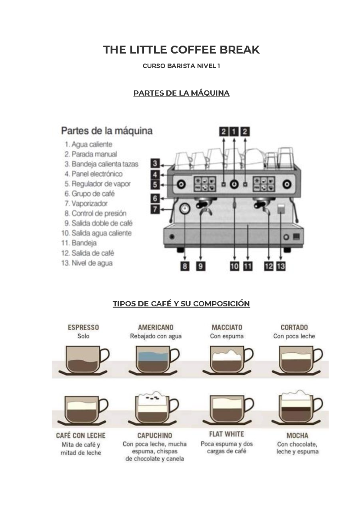 Manual Curso Barista Nivel 1 THE Little Coffee Break - THE LITTLE COFFEE BREAK CURSO BARISTA ...