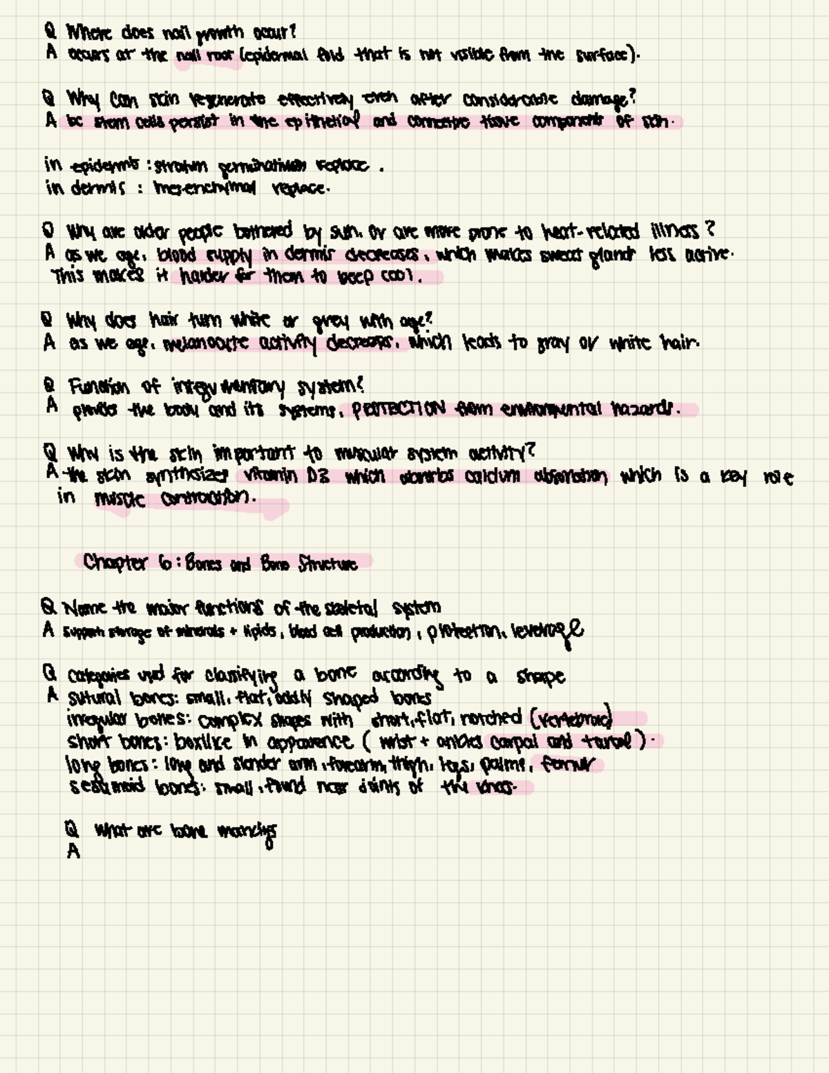 Epidermis Practice Questions part 2 - Q Where does nail growth occur? A ...