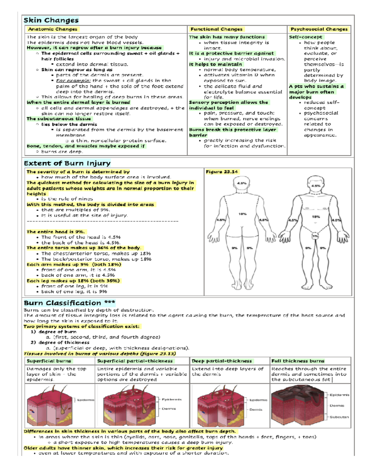 Burn notes - KSPN-0104 - Studocu