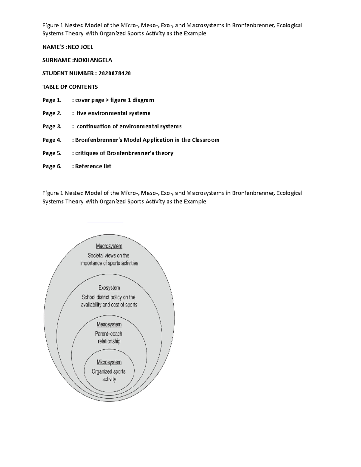 GPED2613 Assignment 2 - Systems Theory With Organized Sports Activity ...