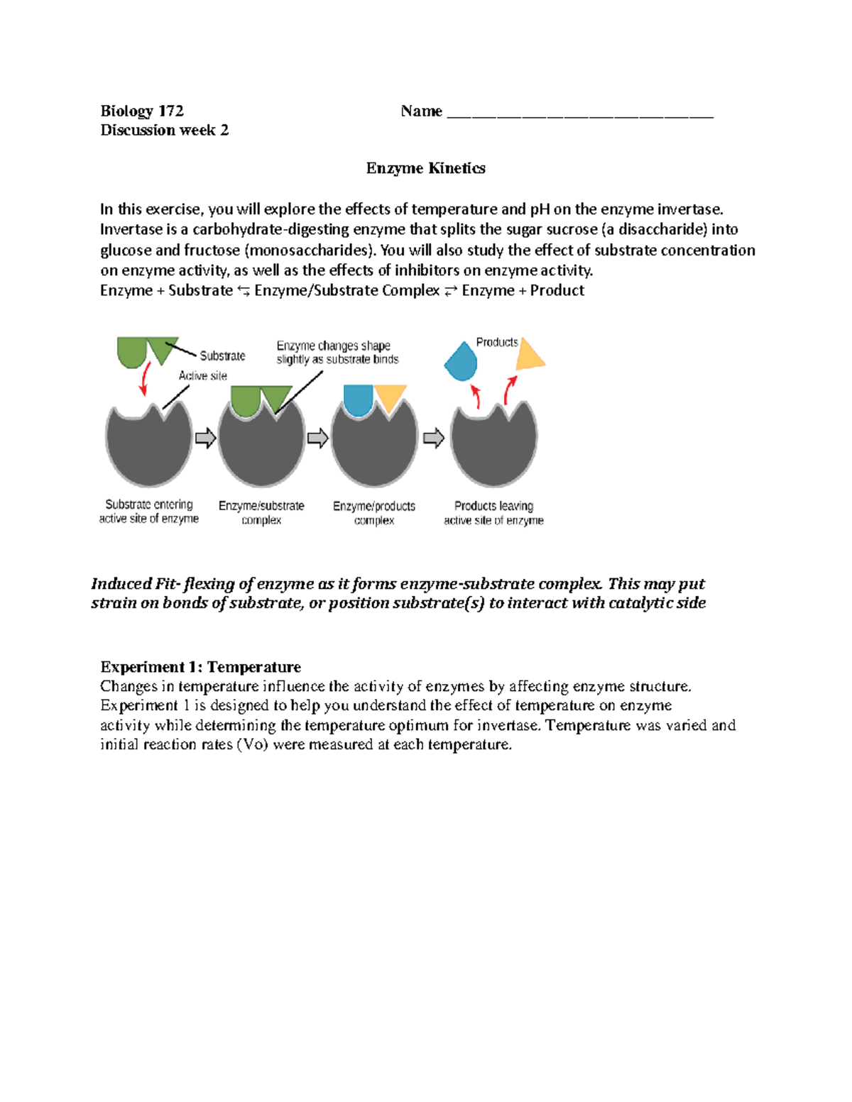 Discussion 6: Enzymes - Biology 172Discussion week 2 Name