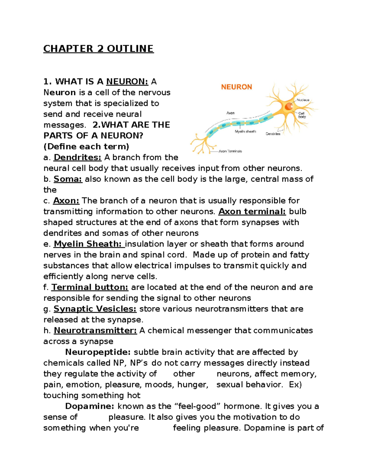 Chapter 2 outline - psych - CHAPTER 2 OUTLINE 1. WHAT IS A NEURON: A ...