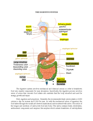 Process of Digestive System - Republic of the Philippines BICOL ...