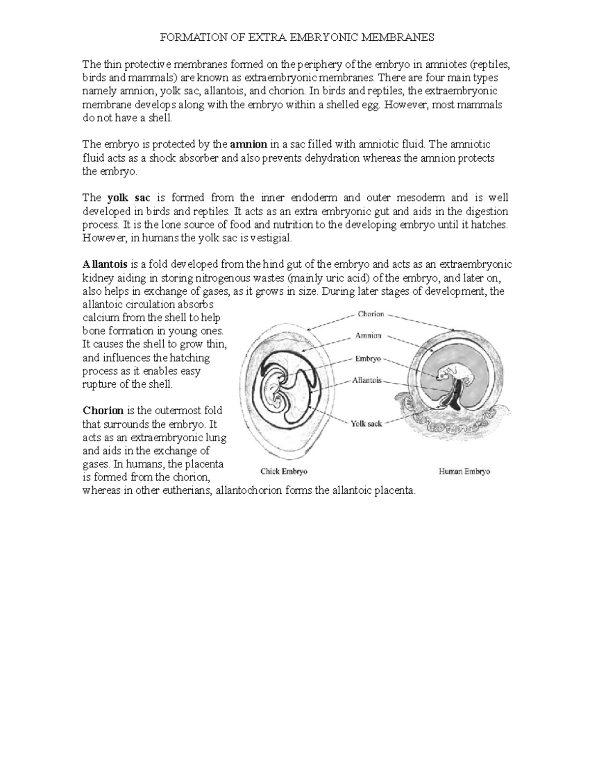 Formation OF Extra Embryonic Membranes - FORMATION OF EXTRA EMBRYONIC ...
