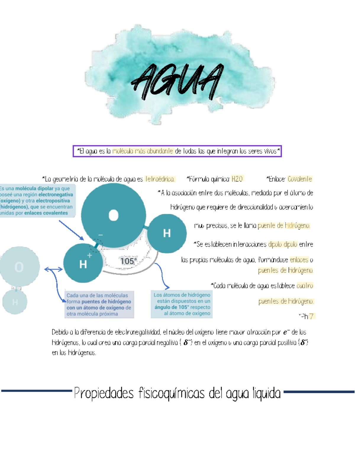 Apuntes Bioquimica Anual Warning Tt Undefined Function 32 Warning Tt Undefined Function