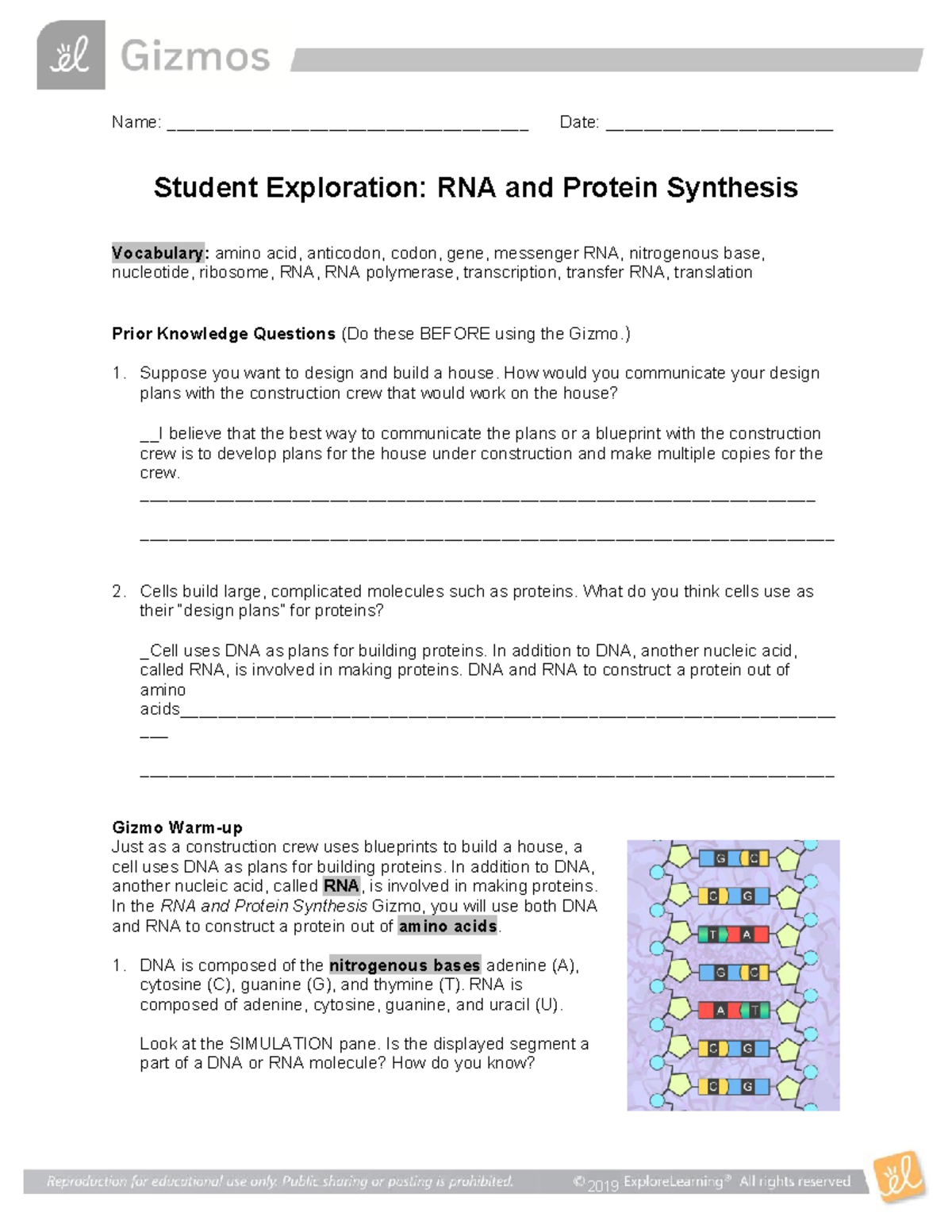 Quarter 3 Lesson 16 Gizmos RNA and Protein Synthesis SE - Name: - Studocu