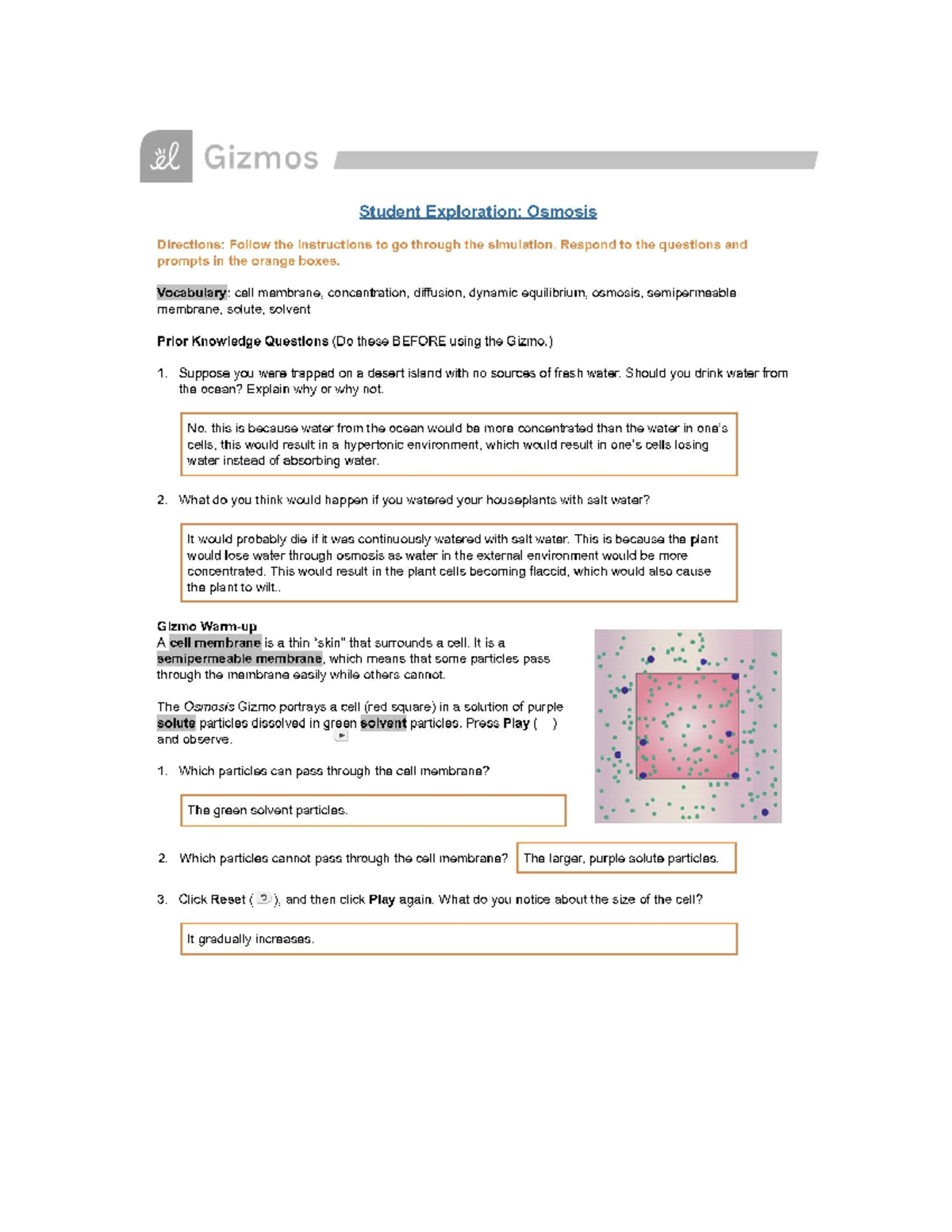 Gizmo Osmosis Assignment - Studocu