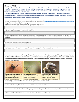 Evolucion de los seres vivos modulo 16 act 1 - Prepa en línea sep ...