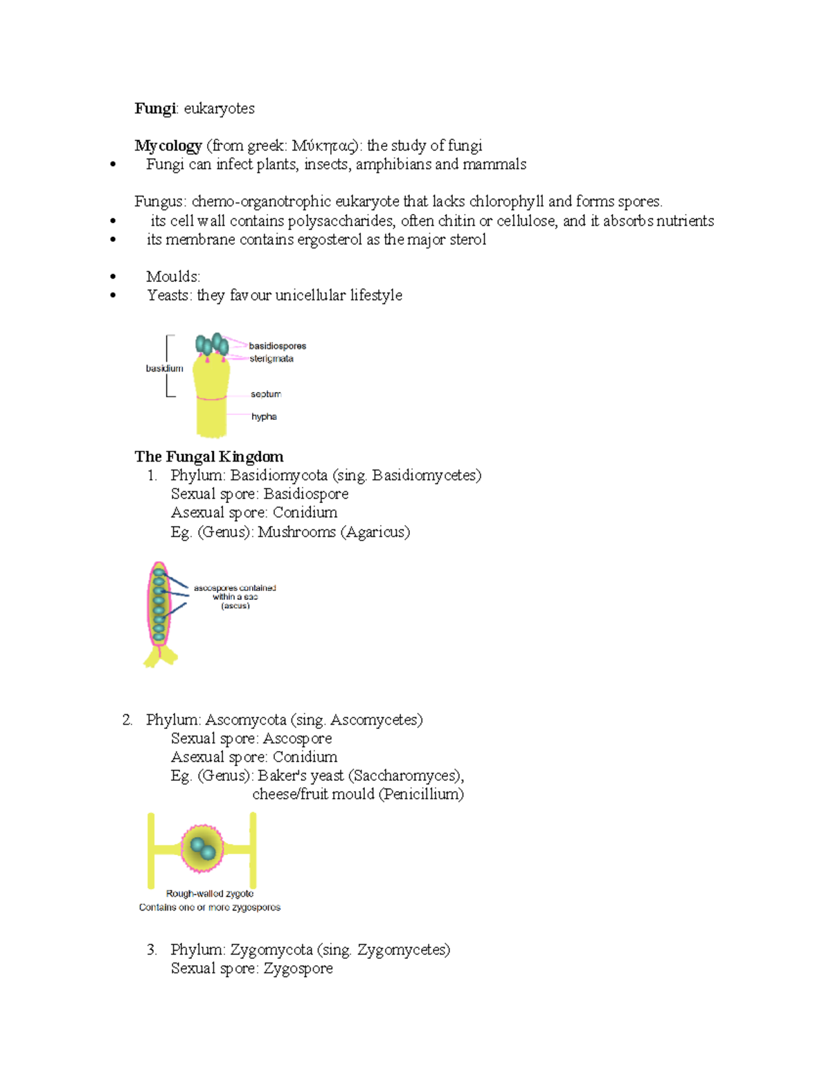 Fungi notes - babs1201 - Fungi : eukaryotes Mycology (from greek ...