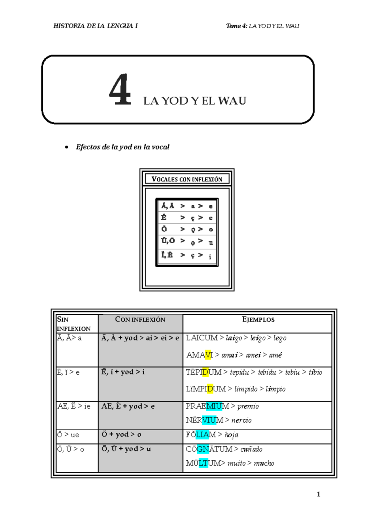 Esquema- resumen de yod - 4 LA YOD Y EL WAU Efectos de la yod en la ...
