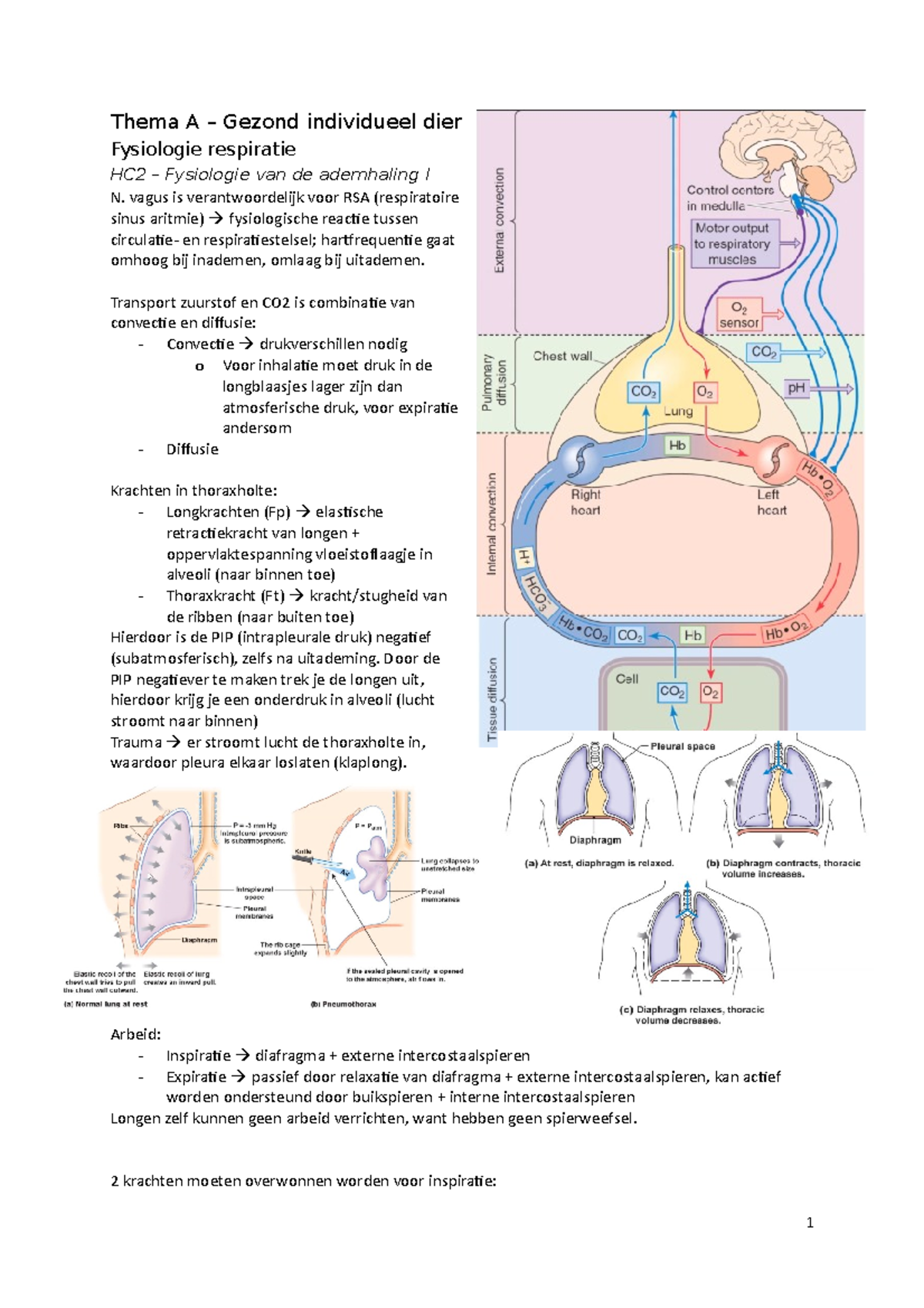 Samenvatting CR - Thema A – Gezond individueel dier Fysiologie ...
