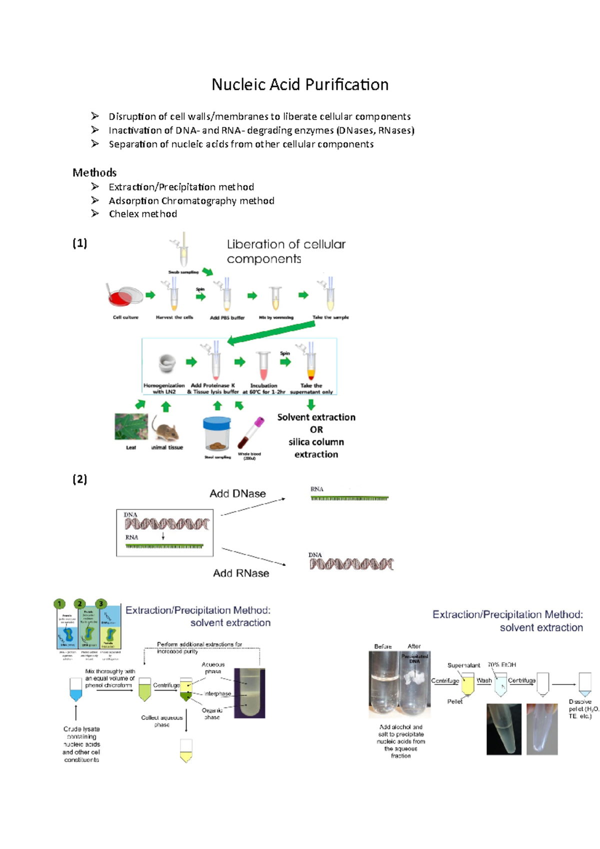 Nucleic Acid Purification - Studocu