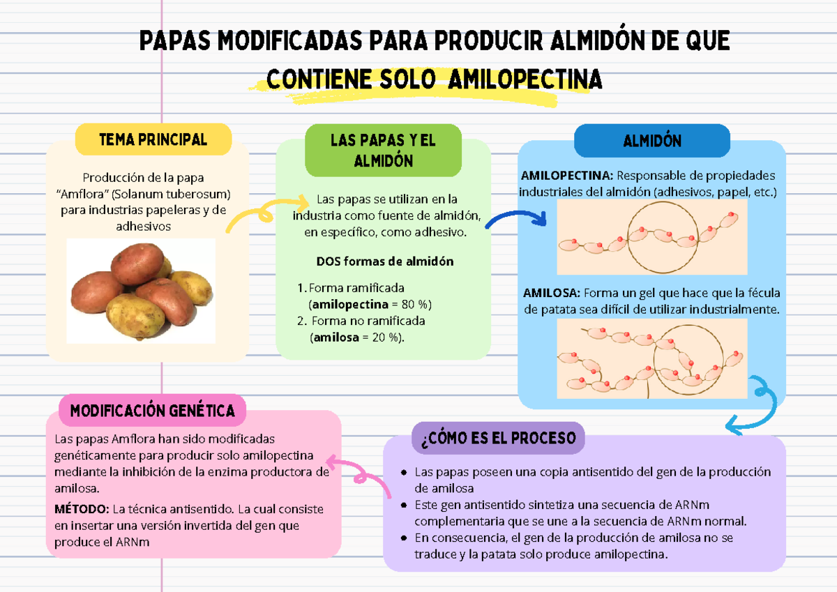 Organizador grafico mapa mental proyecto academico creativo colorido ...