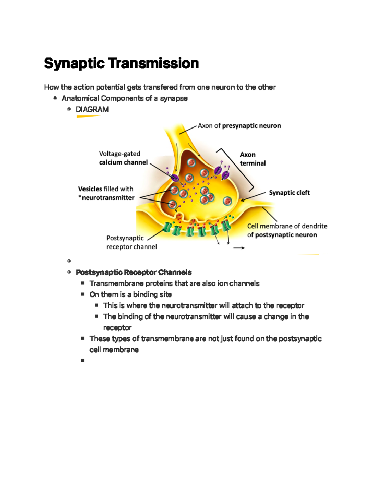 LECTURE 3 - Synaptic Transmission PS267 - Synaptic Transmission How the ...