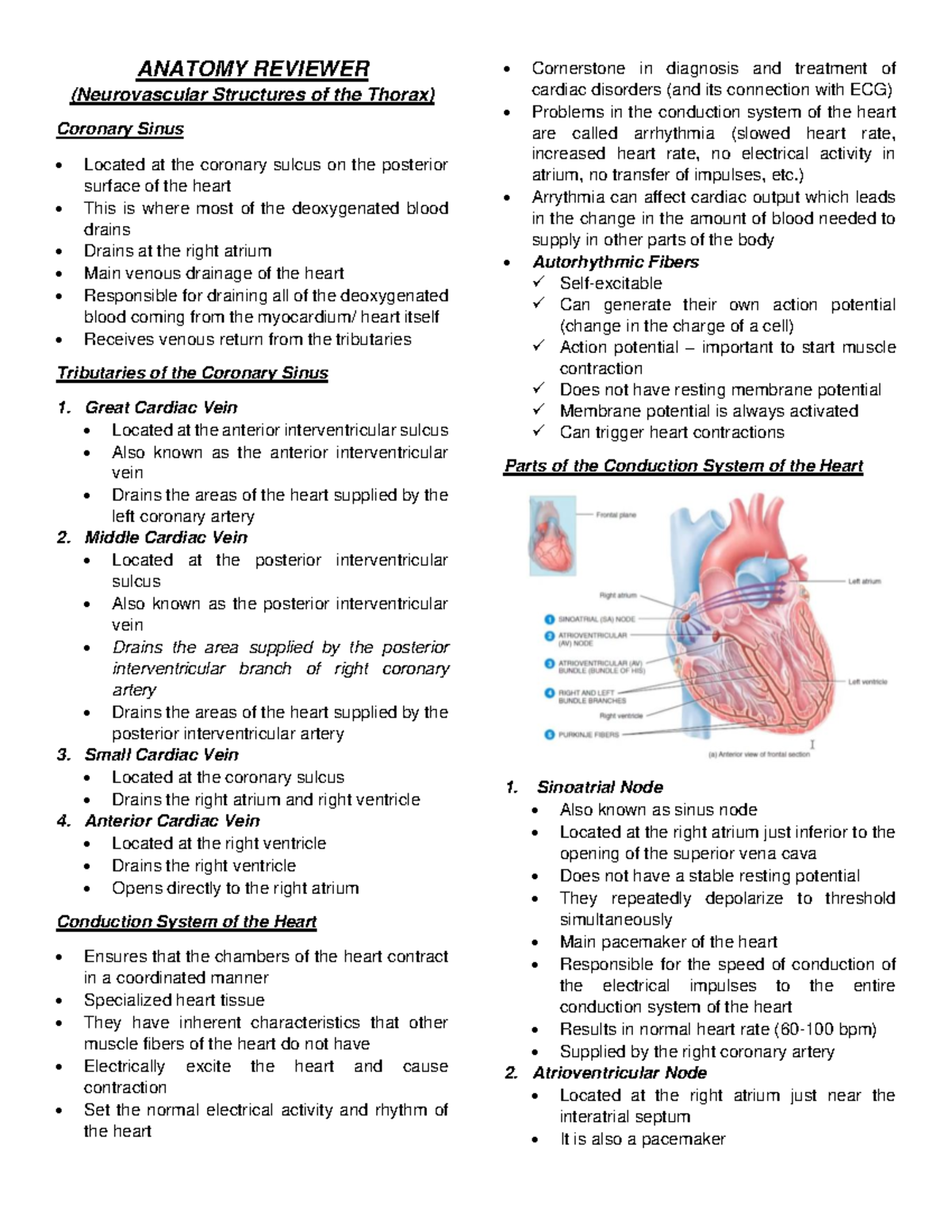 Anatomy Reviewer (Neurovascular Structures of Thorax) - ANATOMY ...