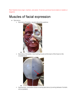 [Solved] Calculate pulse pressure and MAP - Human Anatomy & Physiology ...