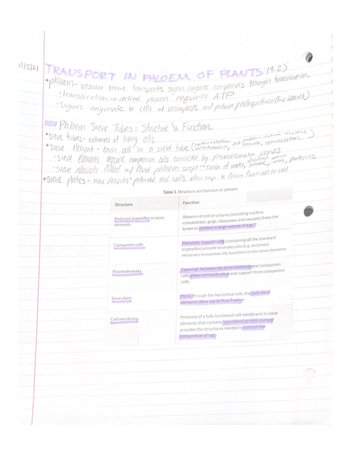 Transport In Phloem Of Plants - BIOL 1260 - Studocu