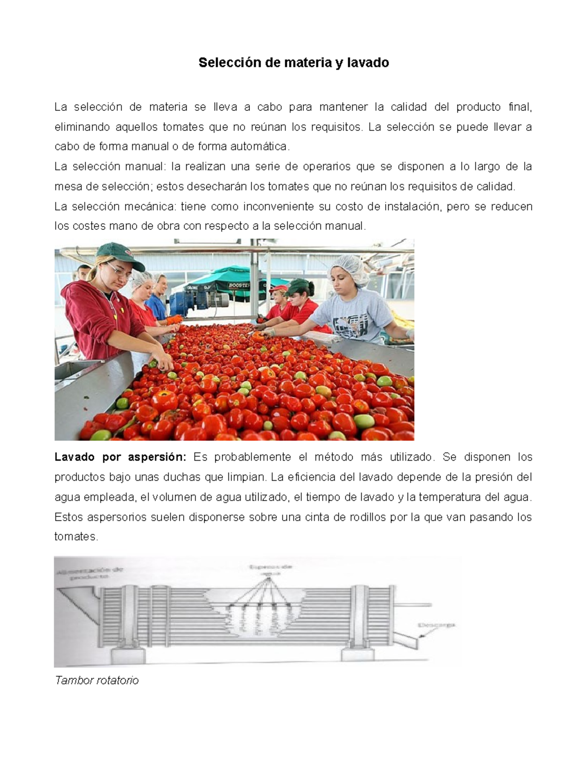 Linea de proceso para pure de tomate - Selección de materia y lavado La ...