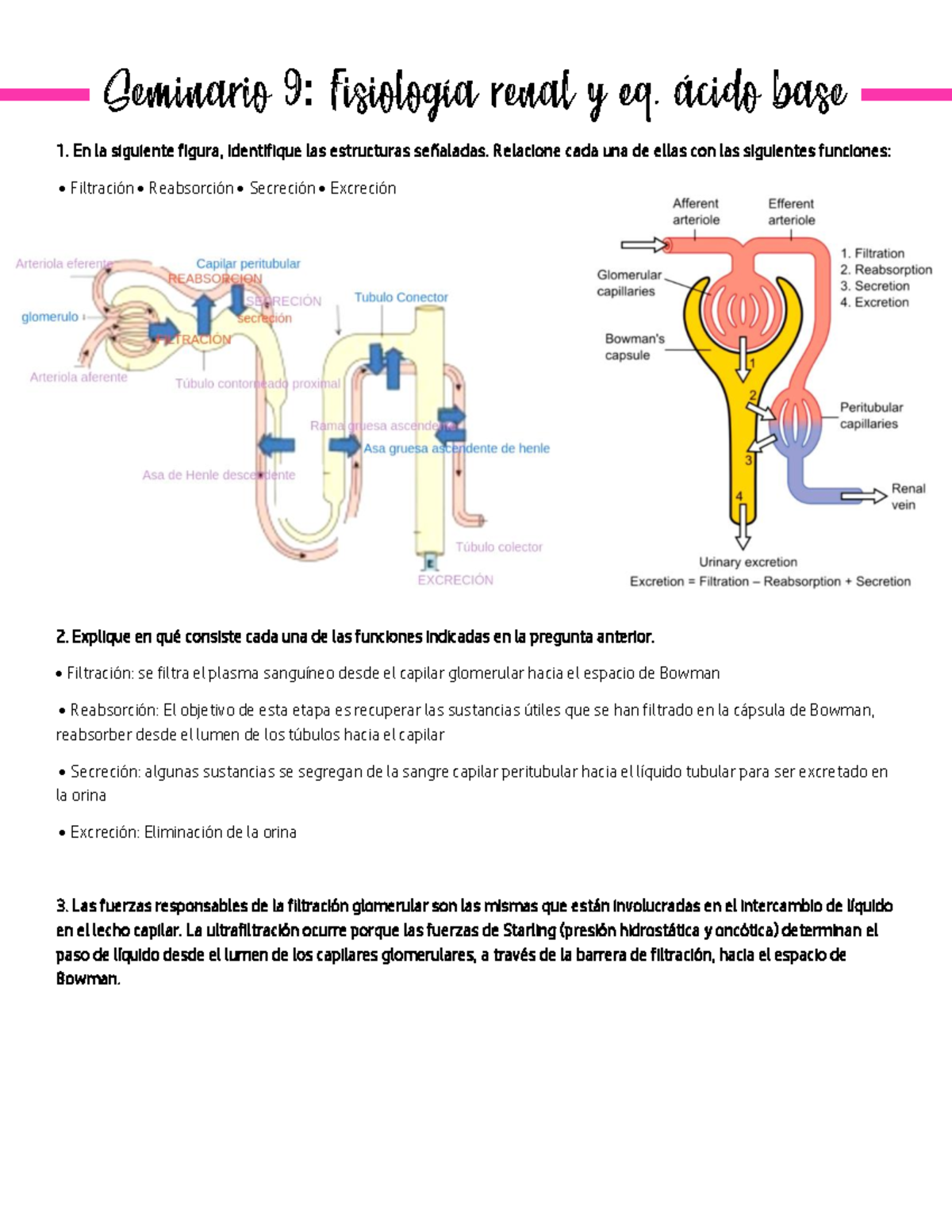 Seminario 9 renal y eq mio - Warning: TT: undefined function: 32 Warning: TT: undefined function ...