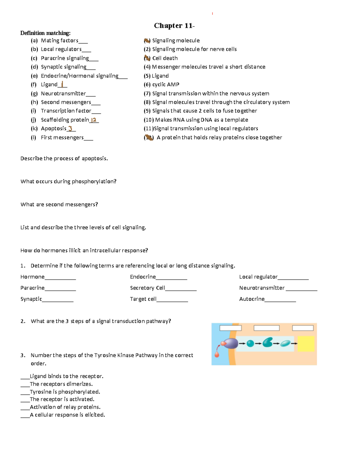 WEEK 8-HW- Chapter 11 - HW 11 - Chapter 11- Definition matching: (a) Mating factors___ (1 ...