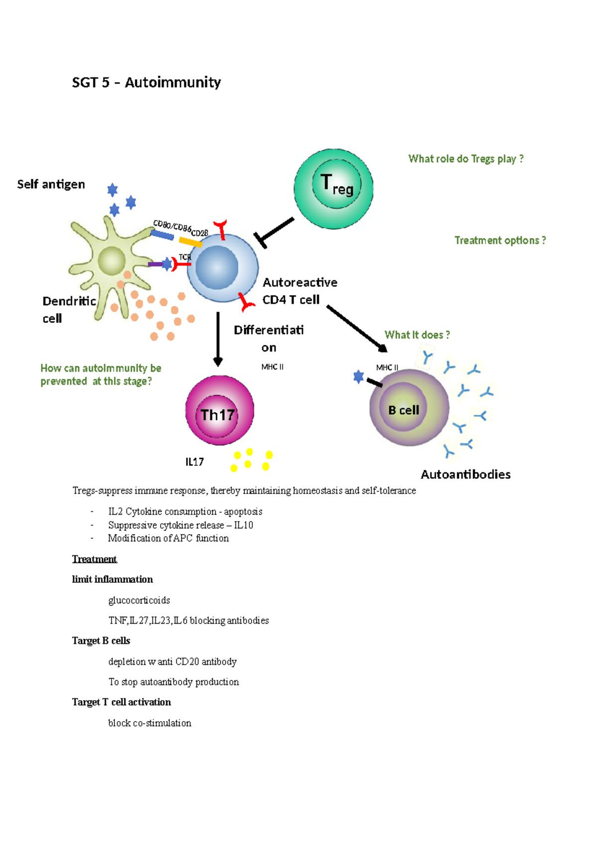 Autoimmunity worksheet with answers - SGT 5 – Autoimmunity Tregs ...