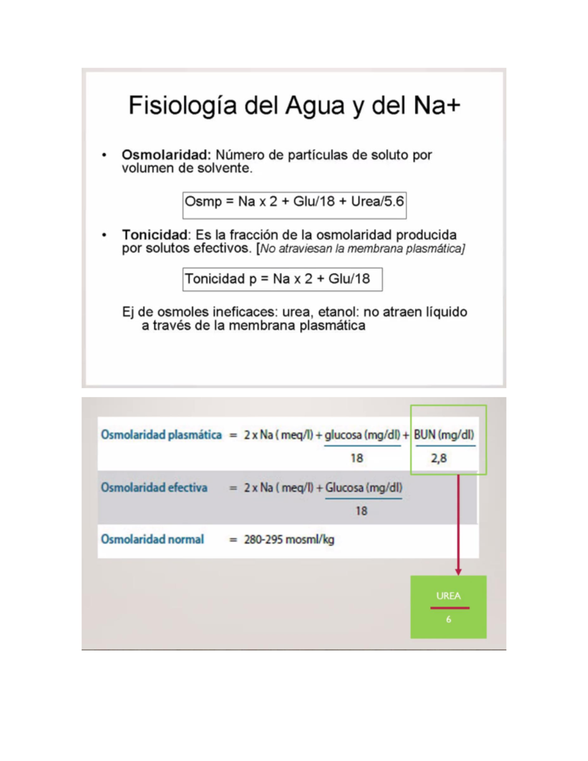 Fórmulas osmolaridad - Laboratorio De Farmacología Y Farmacogénetica ...
