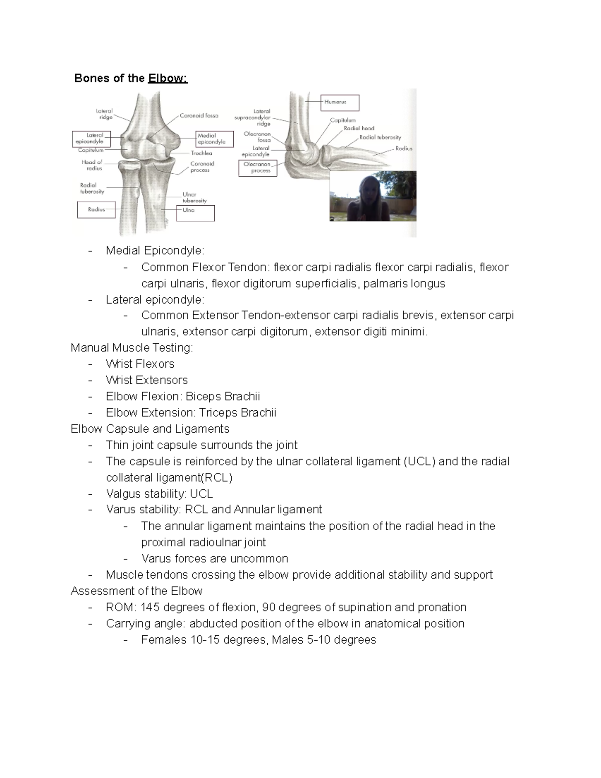 Elbow, Wrist, and Hand - EWH notes that correspond with EWH homework ...