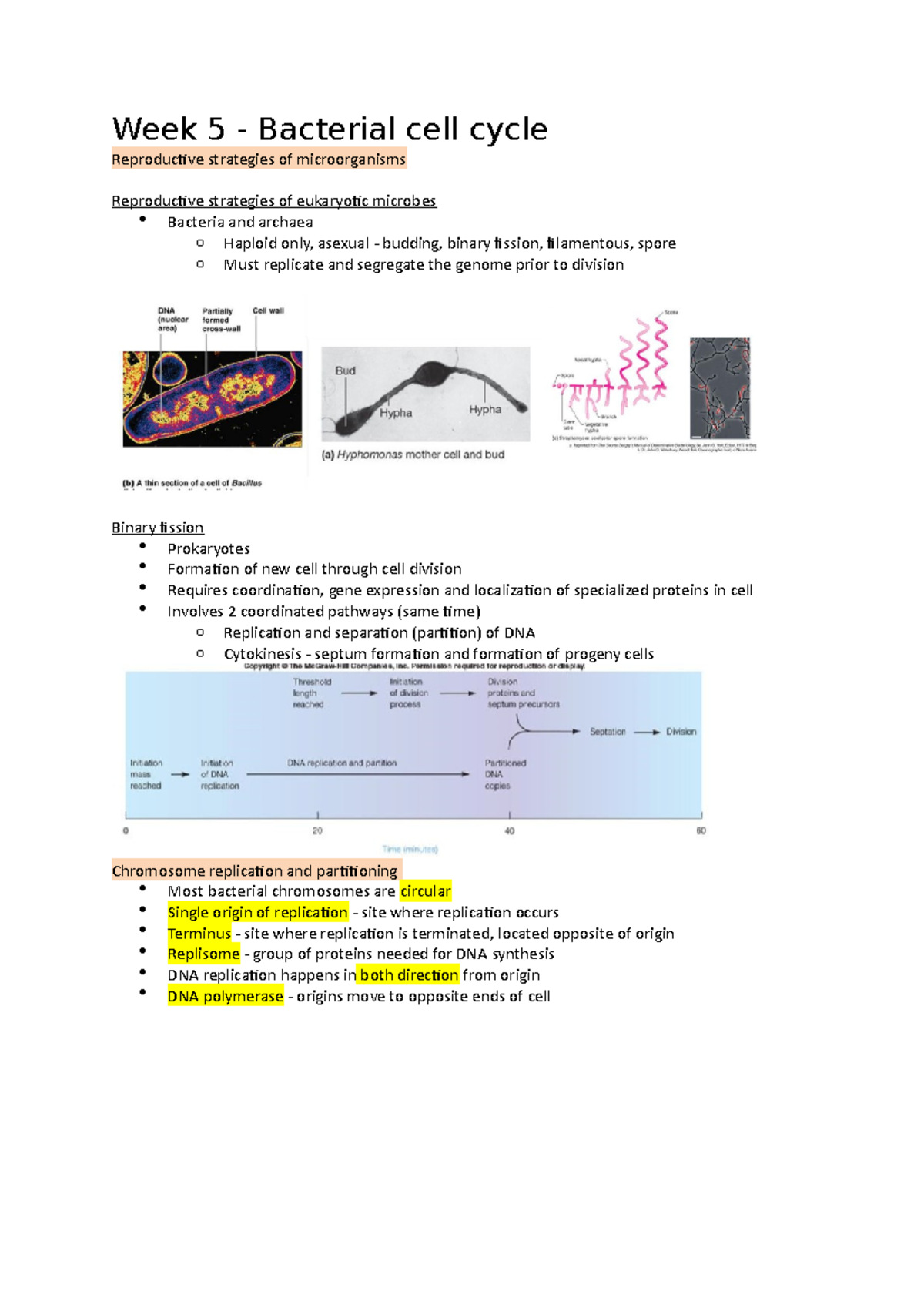 Week 5 - Week 5 Microbiology lecture notes - Week 5 - Bacterial cell ...